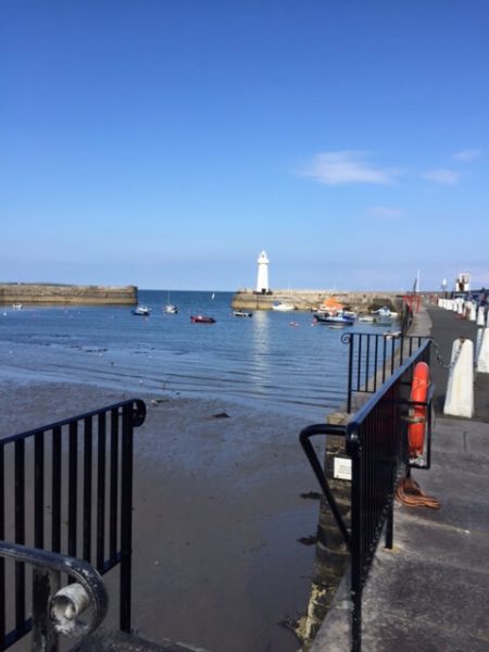 A review of Pier 36 in Donaghadee- lunch by the sea!