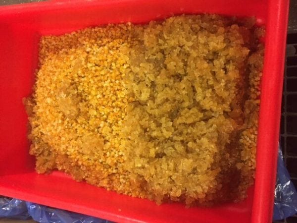 Learning about how Irwins Bakery make their Nutty Krust loaves