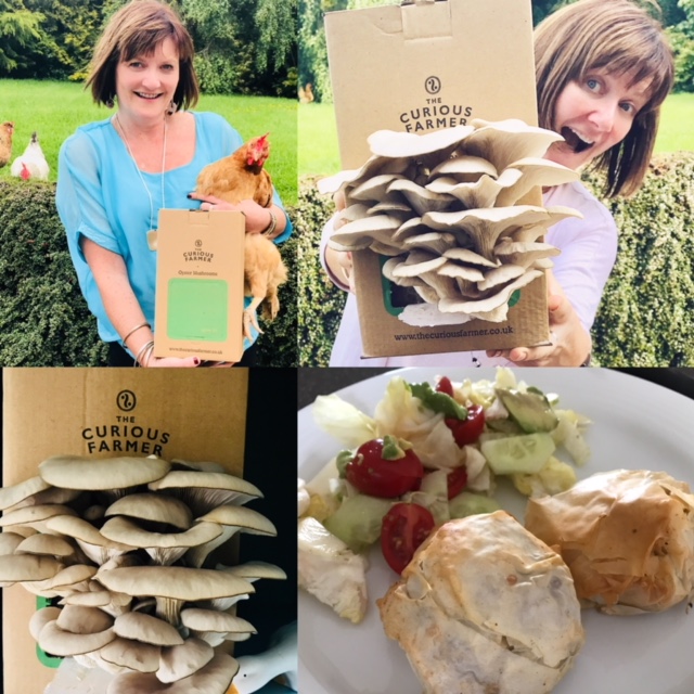 How to become a mushroom farmer and a recipe for mushroom filo parcels ...